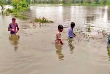 સોજીત્રા તાલુકાના પરોલ ગામમાં કાંસના પાણી ફરી વળતા ડાંગર પાકનો સત્યાનાશ ...