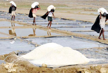 નમકના ઉત્પાદન-વેચાણ બંધનું એલાન કરાયું | Ban on production and sale of ...