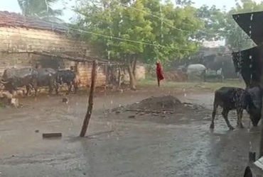 સૌરાષ્ટ્ર પર ફરી તોળાતું માવઠું, સામતેરમાં અડધો ઈંચ વરસાદ | Monsoon ...