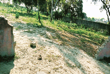 નલિયામાં આવેલો તાલુકાનો પ્રથમ, ૪૫ વર્ષ જૂનો બગીચો ઉજ્જડ બન્યો | The ...