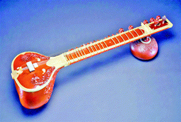 સિતાર જેવા વાદ્યોમાં સંગીત કેવી રીતે વાગે છે? | How does music play in ...