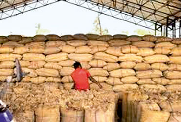 ભારતમાં વિશ્વનું સૌથી મોટું અનાજનું ગોડાઉન બનાવવાની કેન્દ્રની યોજના ...