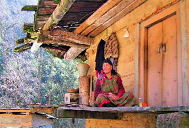 કુદરતી નૈસર્ગિક જંગલની રાણી . | Shatdal Magazine Anuradha Derasari ...