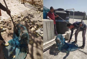 સુરત : હોસ્પિટલ સમિતિના અધ્યક્ષે મોટા ઉપાડે કરેલી જાહેરાત પોકળ નીવડી ...