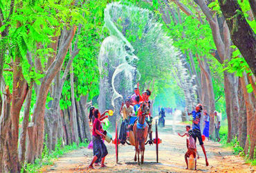 વિશ્વમાં હોળીના રંગોથી રંગાયેલા અને આનંદથી ભીંજાયેલા ઉત્સવોનો મહિમા ...