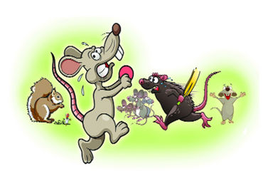 જબુ ઉંદર જાડો . | Jabu rat fat - Gujarat Samachar