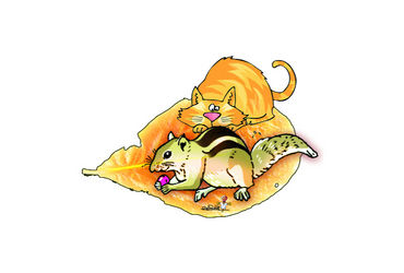 ખસકોલીનું બચ્ચું . | Khiskoli baby - Gujarat Samachar