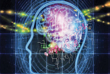 મગજ જુદી જુદી વસ્તુઓને કેવી રીતે યાદ રાખે છે? | How does brain remember ...