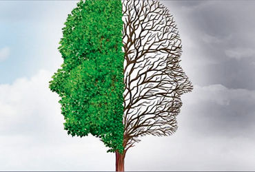 બહુ ઓછા સમયમાં બહુ વધારે પડતાં પરિવર્તનો | Gujarat Samachar Alpviram 18 ...