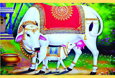 ભારતીય સંસ્કૃતિમાં ગાય (ગૌમાતા)નું મહત્વ | Importance of cow Gaumata in ...