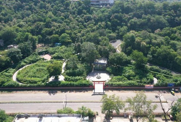 Dumping site transformed into Miyawaki forest in Gandhinagar