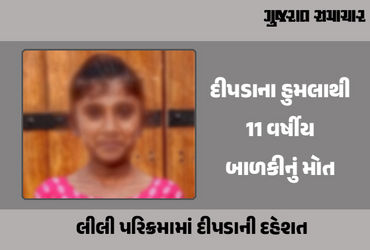 લીલી પરિક્રમા દરમિયાન 11 વર્ષની બાળકી પર દીપડાએ કર્યો હુમલો, થયું મોત ...