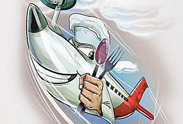 રનવે પર રસ-પુરી , પ્લેન પાસે પાતરાં . | Gujarat Samachar Agadam Bagdam ...