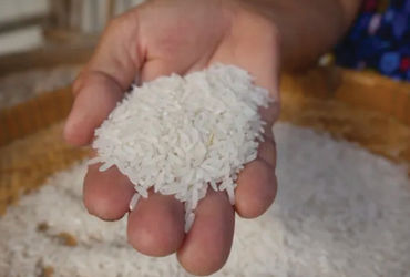 સરકાર સસ્તા ભાવે ચોખા વેચશે, વેપારીઓને પોર્ટલ પર સ્ટૉકનો ખુલાસો કરવાનો ...