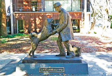 'ઓહ માય ડોગ...' કૂતરાં-બિલાડીના મંદિર પણ છે.... | Shatdal Magazine ...