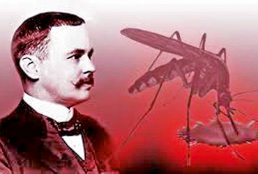 મચ્છર પાસે ડંખ ખાવાના 50 પૈસા ચૂકવાતા અને થઇ મલેરિયાની શોધ! | Shatdal ...