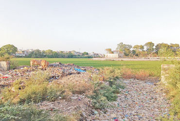 મહુધા પાલિકાના તળાવોની અંદર અને કિનારા પાસે ગંદકીનું સામ્રાજ્ય | A ...