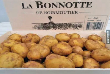 લ્યો બોલો! 1 કિલો બટાટાનો ભાવ રૂપિયા ૫૦ હજાર! | Shatdal Magazine ...