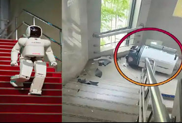 દક્ષિણ કોરિયામાં કામના ભારણથી રોબોટે સીડી પરથી કૂદીને આત્મ હત્યા કરી ...