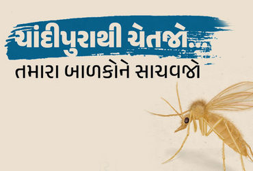 ચાંદીપુરા વાયરસ ખરેખર શું છે? કેવી રીતે ફેલાય છે આ, જાણો સંપૂર્ણ માહિતી ...