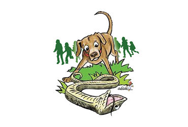 માથા વગરનો સાપ . | A snake without a head - Gujarat Samachar