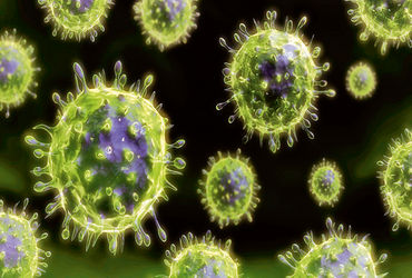 છઠ્ઠું જીવજગત : વાઈરસ . | Sixth Life: Virus - Gujarat Samachar