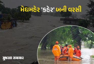 ધોરાજી-ઉપલેટા તાલુકામાં એક અઠવાડિયામાં 80 ઇંચ સુધી પડેલા ધોધમાર વરસાદથી ...