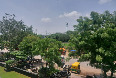 AMC approves proposal to conduct tree census after 12 years