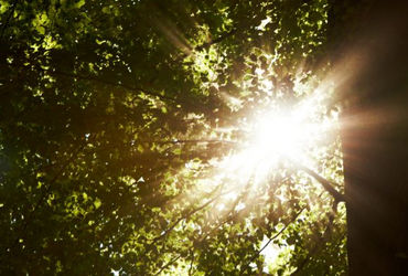 Sunlight on Demand A new technology to bring Sunlight at night
