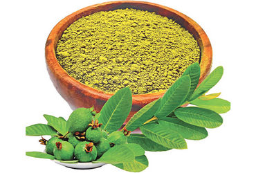 જમરૂખની જેમ જામફળના પાંદડા પણ ગુણકારી | Like Jamrukh guava leaves are ...