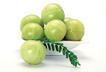 શિયાળામાં ઘટતી ઈમ્યુનિટી માટે અદ્ભૂત ઔષધો...! | Ravi Purti 01 December ...