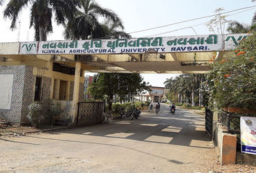 ફાઈવસ્ટાર રેટીંગ મેળવીને નવસારી કૃષિ યુનિવર્સિટીએ સમગ્ર રાજ્યમાં ...