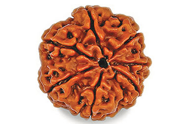 માંજરી મોનાલિસા અને તપખીરી રૂદ્વાક્ષનું રહસ્ય !! | Ravi Purti 16 ...