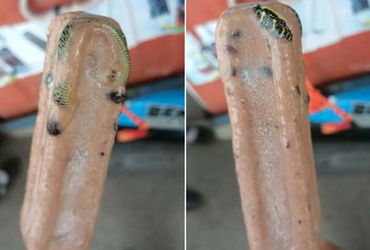 આઈસક્રીમનું રેપર ખોલતાં જ હોશ ઊડી ગયા, અંદર થીજી ગયેલો સાપ નીકળ્યો, બધા ચોંક્યા | opened the ...