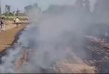 સાબરકાંઠાના તલોદમાં UGVCLની બેદરકારીથી ખેતરમાં આગ લાગી, ઘઉંનો પાક બળીને ...