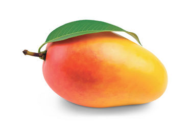 આંબે આવ્યા મોર... . | Ravi Purti 30 March 2025 Vasant Mistry Shodh ...