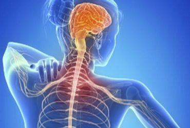 New AI tool to track efficacy of multiple sclerosis treatments