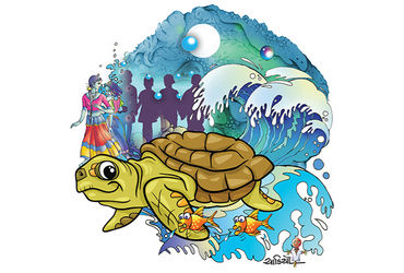 કાચબાનું મોત કાચબાની મોજ . | Turtle's death Turtle's fun - Gujarat Samachar