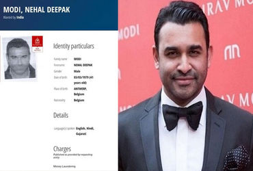 PNB બૅન્કના કૌભાંડી નીરવ મોદીનો ભાઈ અમેરિકામાં પકડાયો, ED-CBIના આગ્રહ ...