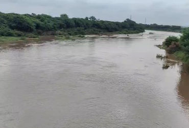 અમરેલી જિલ્લામાં ઉપરવાસમાં ભારે વરસાદ, શેત્રુંજી સહિતની નદીમાં પૂરની ...