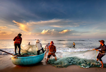 Gujarat’s fish production expected to rise to 11 lakh metric tonnes ...