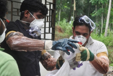 New Nipah virus vaccine safe generates immune response: The Lancet