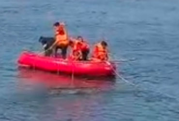 નર્મદા કેનાલમાં ડૂબી ગયેલ શિક્ષકની લાશ ૨૦ કિલોમીટર દૂર તરતી મળી ...