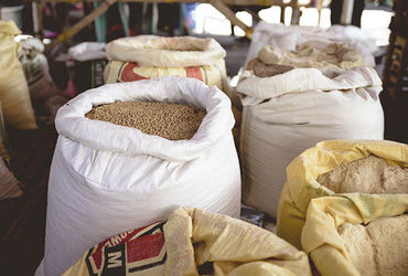 Gujarat rolls out grain ATM launches digital currency based public ...