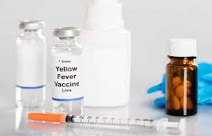 સૌરાષ્ટ્રના 10 લાખ લોકો આફ્રીકામાં, સિવિલમાં વેક્સીન માટે લાગતી લાઈનો ...