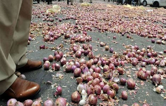 ટાણા ગામે ખેડૂતોએ ડુંગળી રસ્તા પર વેરી, ટ્રાફિકજામ | Farmers planted ...