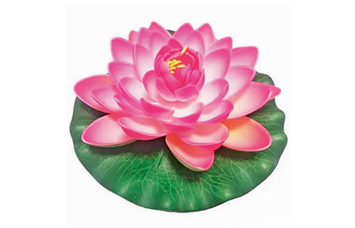 કમળનો કરિશ્મા . | The charisma of the lotus