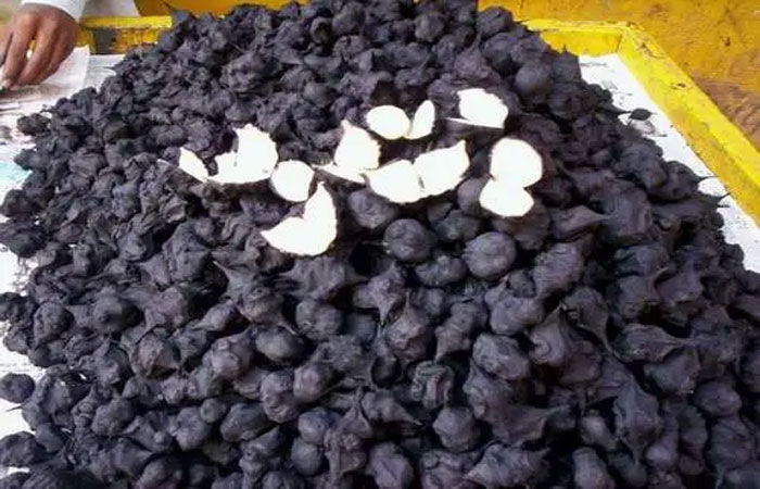 શહેરમાં પ્રતિદિન 1,000 કિલો સ્વાસ્થ્યવર્ધક શિંગોડાનું થતું વેચાણ | 1000 ...