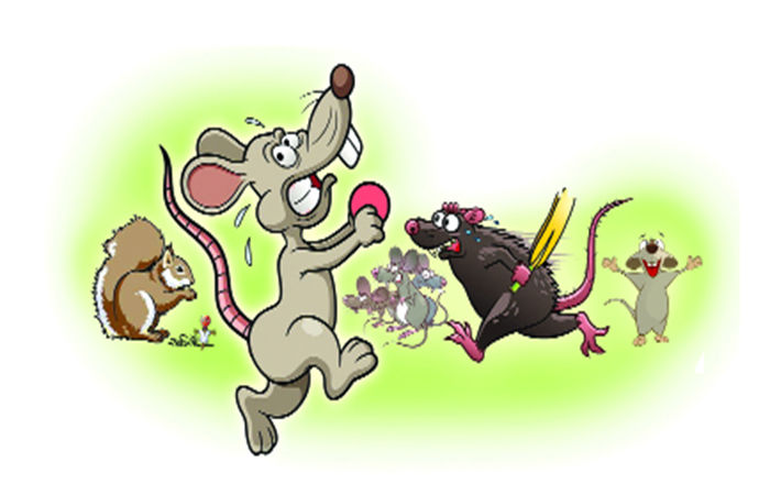 જબુ ઉંદર જાડો . | Jabu rat fat - Gujarat Samachar