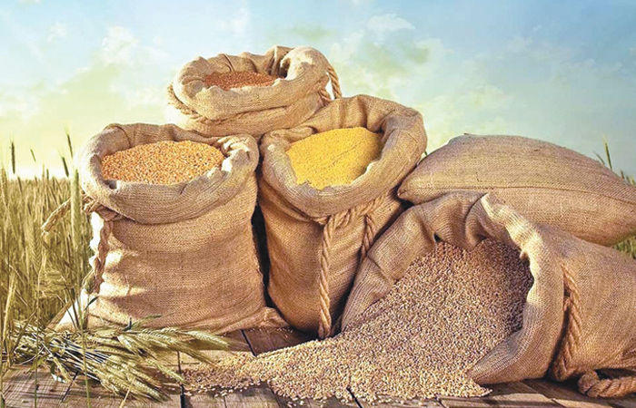 કૃષિ ઉપજોની આયાત-નિકાસની નીતિઓની સમીક્ષાની વ્યાપક માંગ | Business plus ...